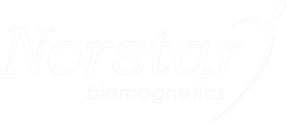HOW MAGNETS WORK – Norstar